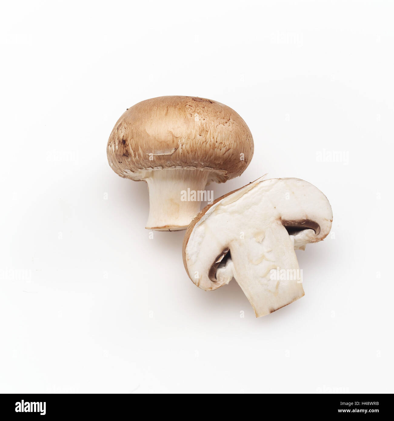 Champignon hi-res stock photography and images - Alamy