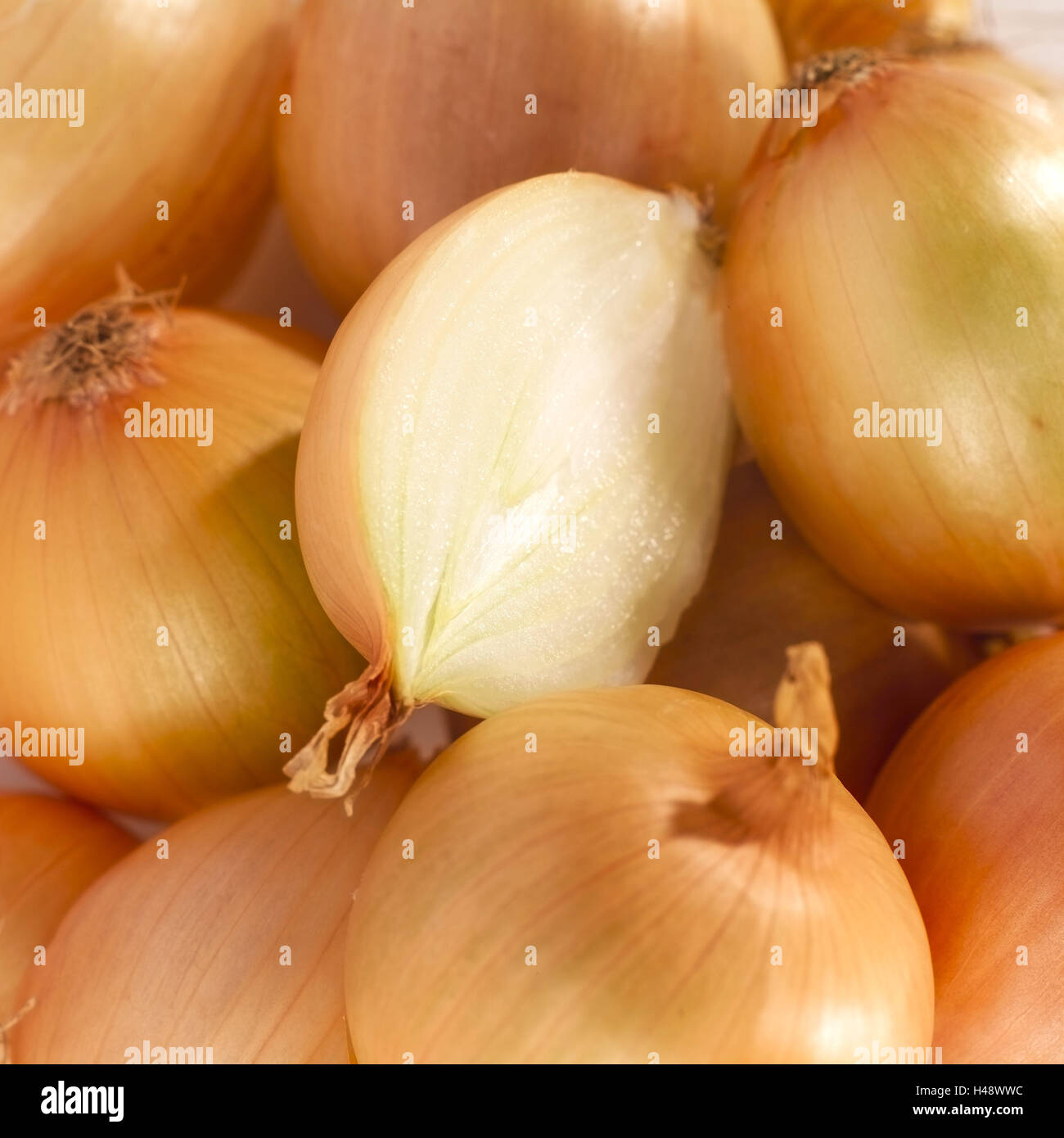 Half bulb hi-res stock photography and images - Alamy