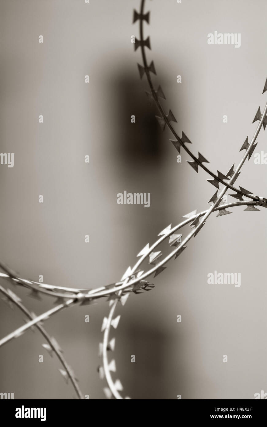 Natodraht hi-res stock photography and images - Alamy