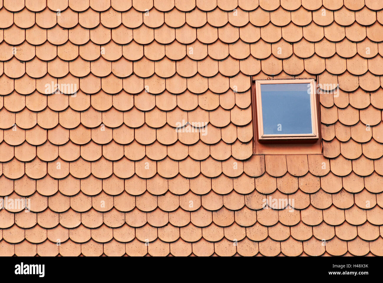 Roof tiles, roof, roofing tiles, rows, roof windows, one above the ...