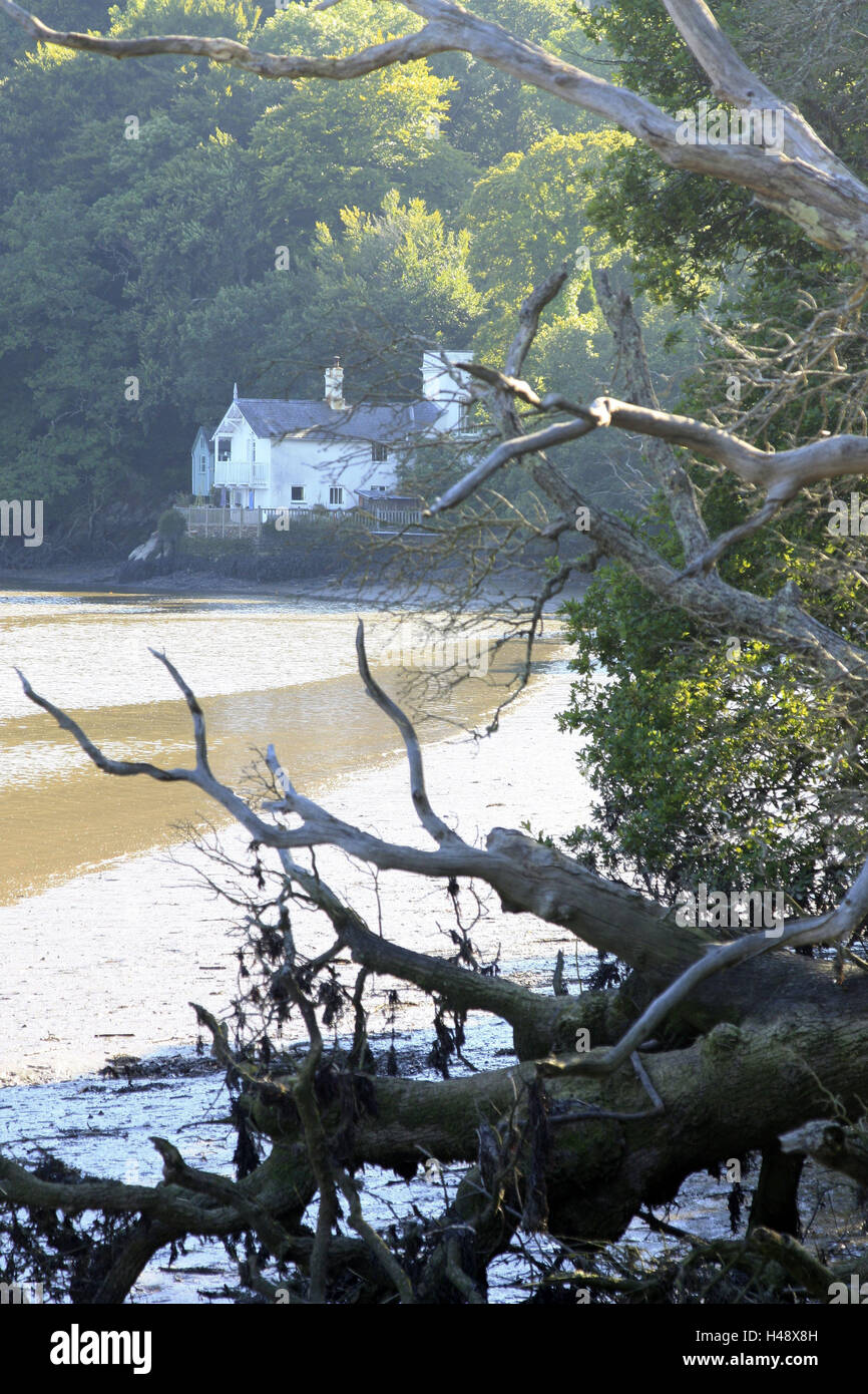 Great Britain, Devon, riverside, boathouse, England, river, lake, wood ...