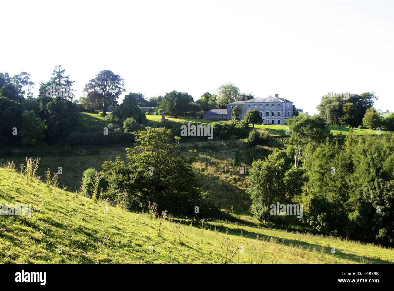 Great Britain, Devon, Sharpham, scenery, mansion, summer, England, hill ...