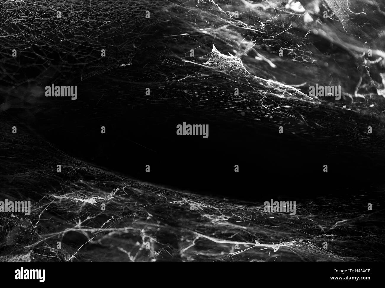 Abstract Cobweb Horror Similar Eyes Shape Stock Photo - Alamy