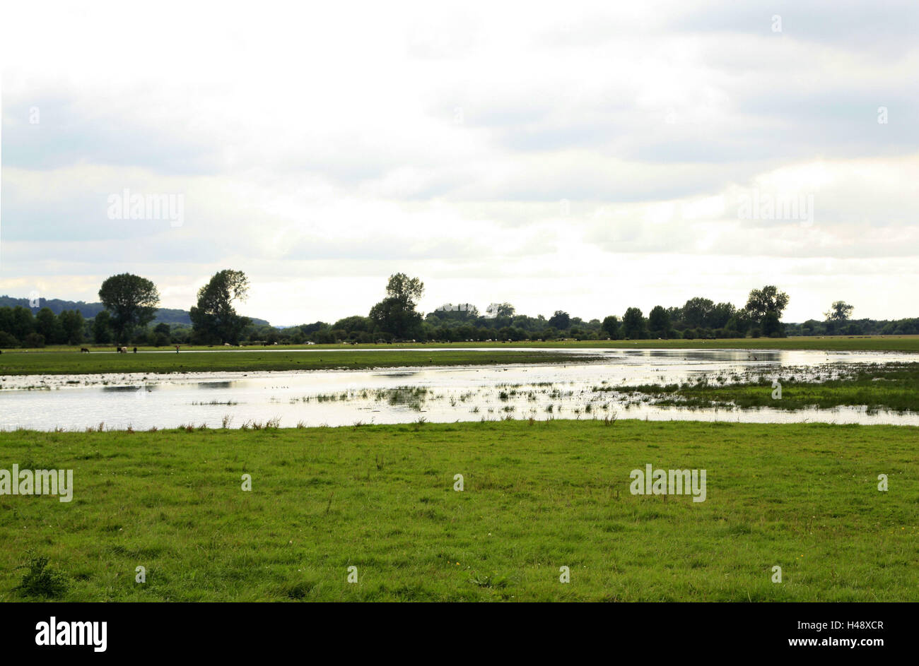 Great Britain, Oxford, field scenery, flood, summer, England, scenery ...