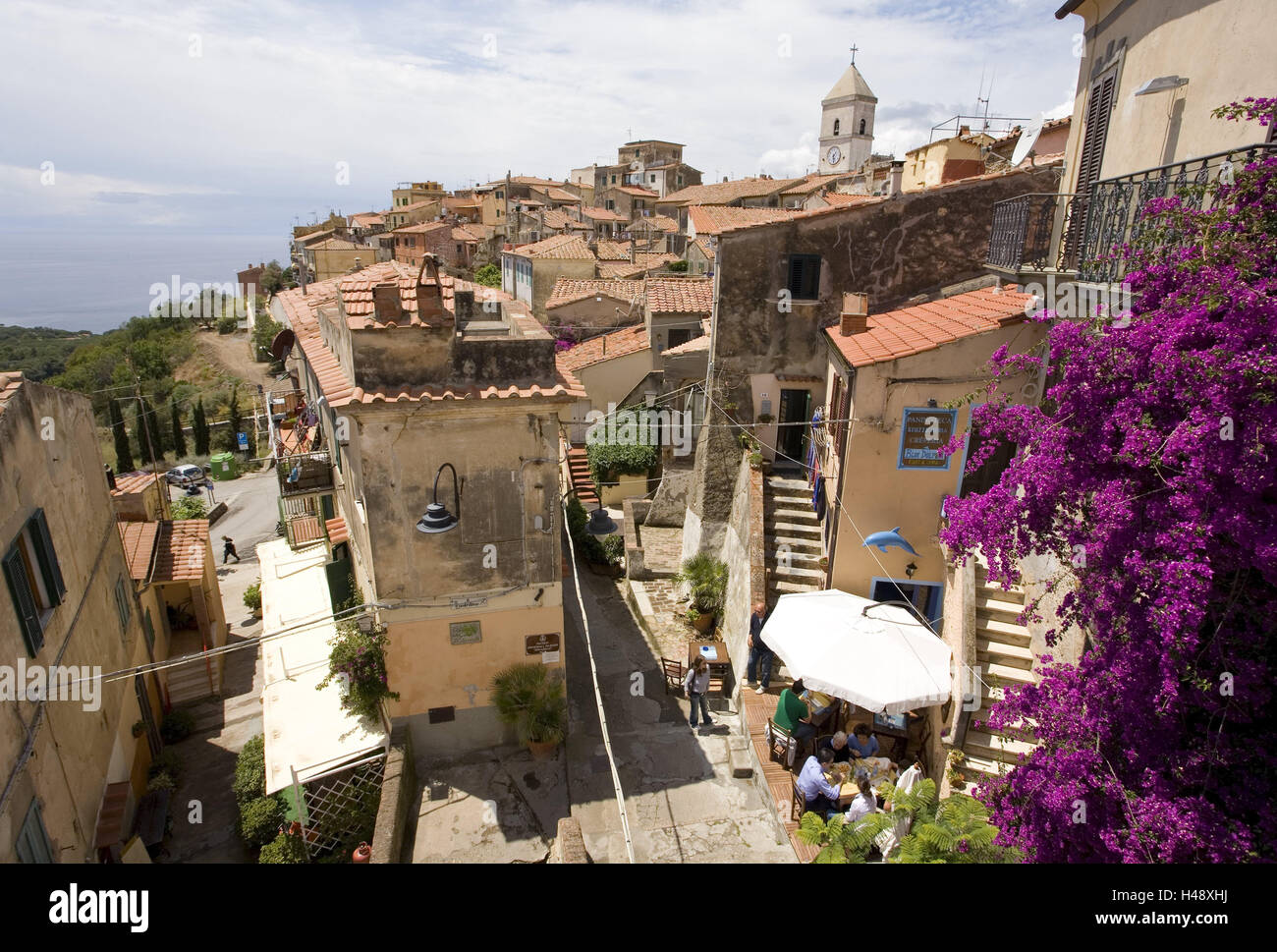 Italy, Tuscany, island Elba, Capoliveri, local view, destination ...