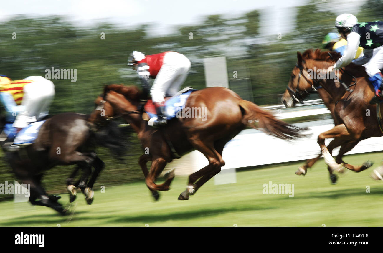 Horse Racing Horses High Resolution Stock Photography and Images - Alamy
