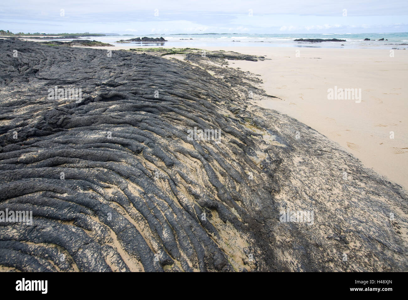 Isabela island galapagos volcano hi-res stock photography and images ...