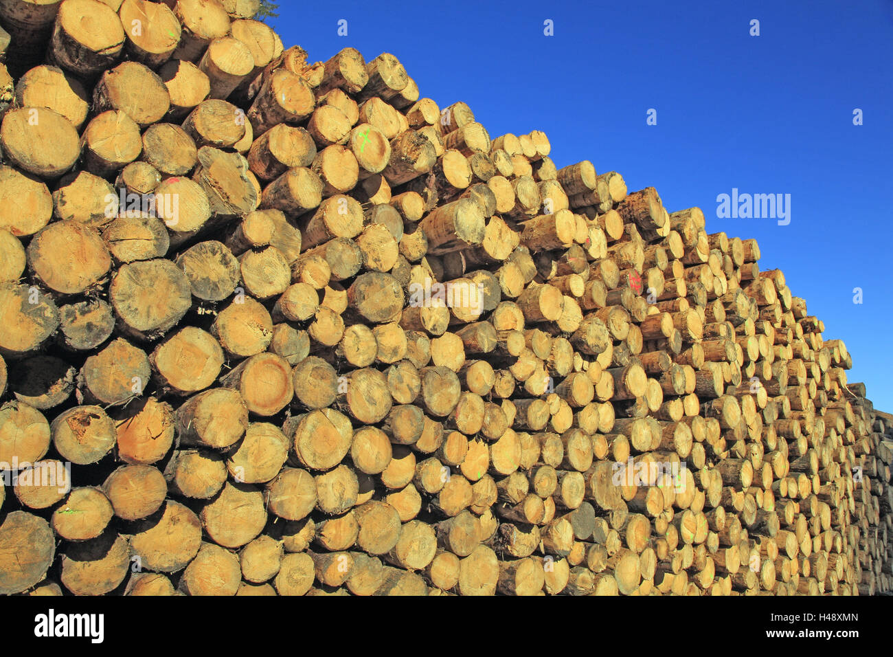 Round yard hi-res stock photography and images - Alamy