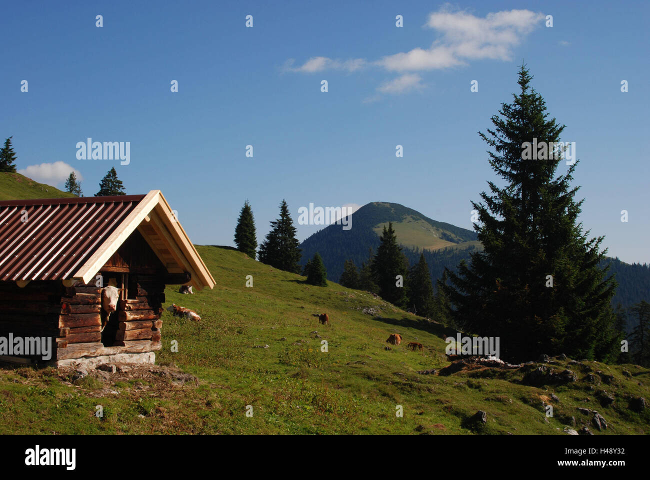 Suture wallgauer alp hi-res stock photography and images - Alamy