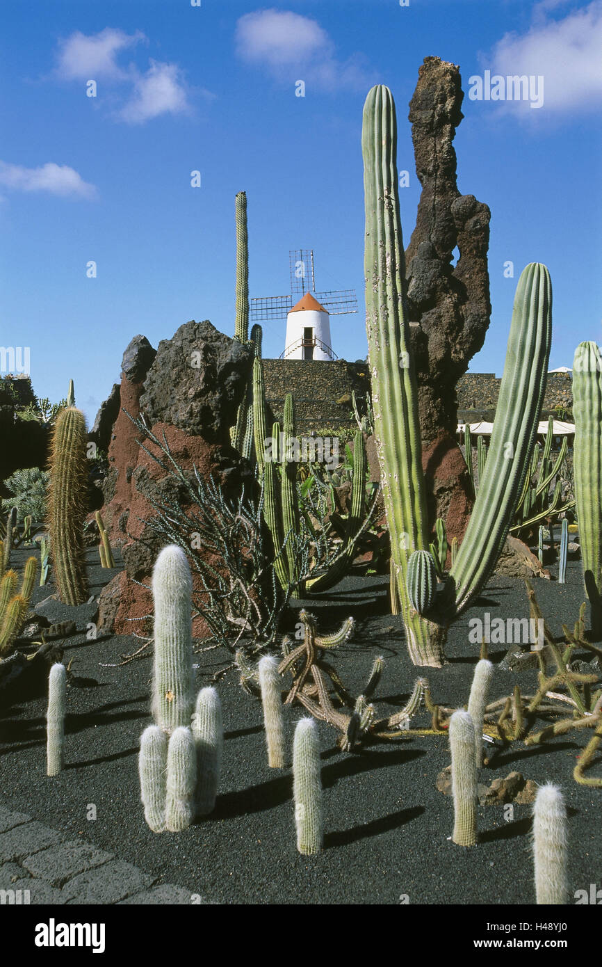 Spain, the Canaries, island Lanzarote, Guatize, Jardin de Cactus, mill ...