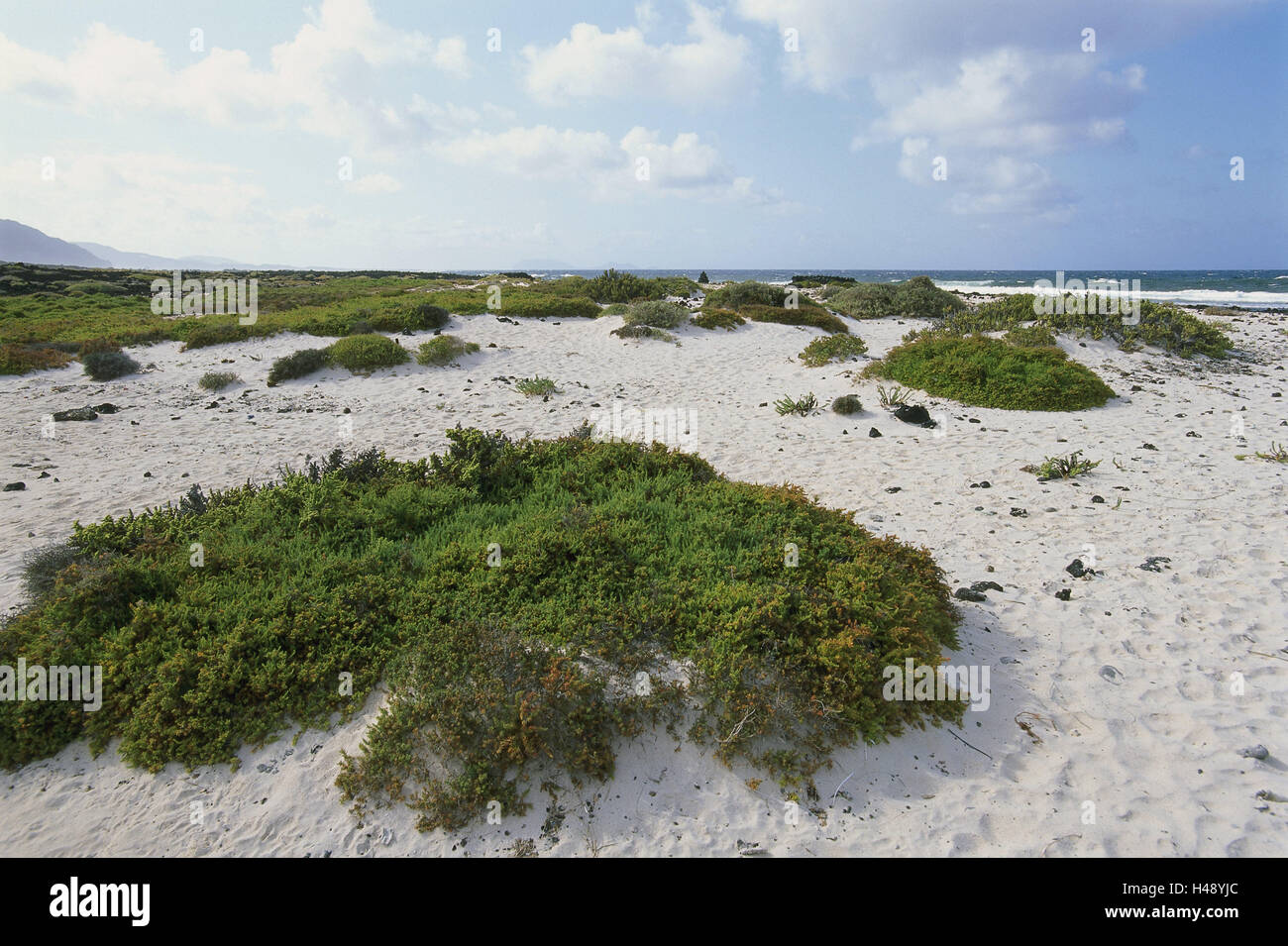 Spain, the Canaries, island Lanzarote, cal tone beaches, vegetation ...