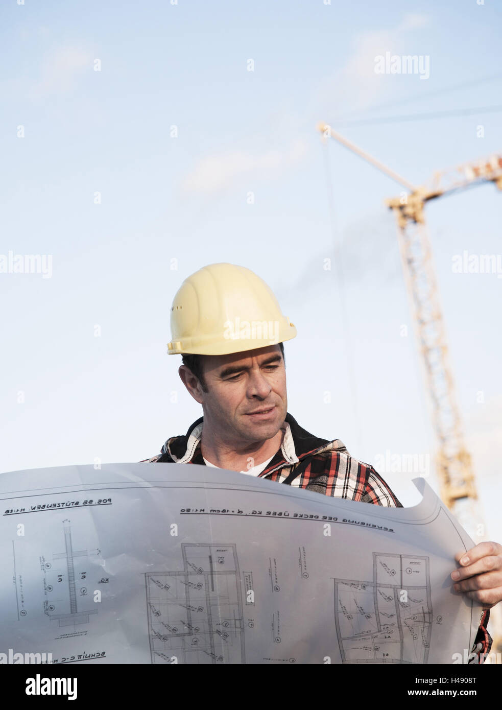 Man with architect's plan Stock Photo - Alamy