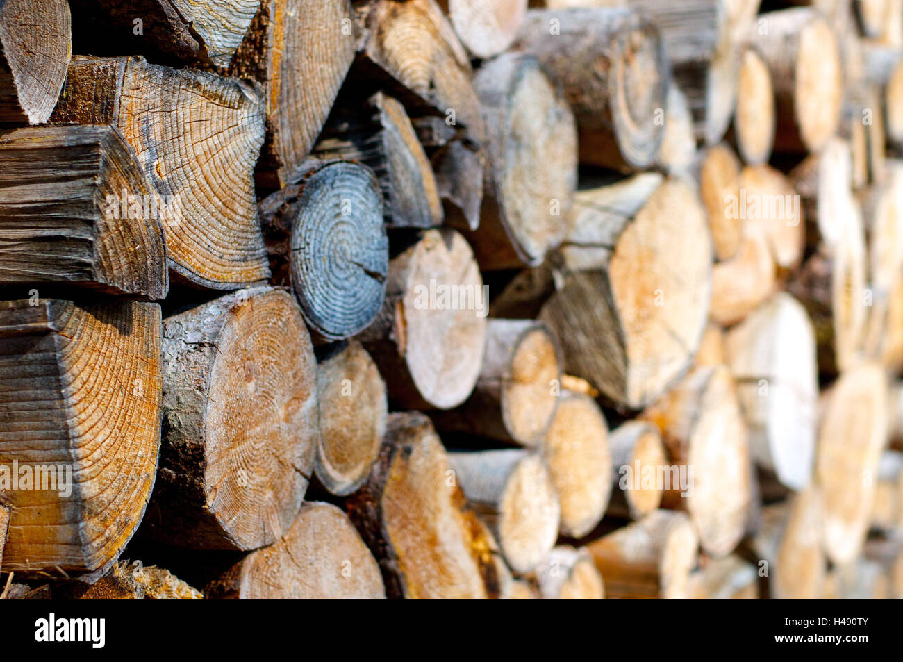 Wood, stacked, side view, close-up Stock Photo - Alamy