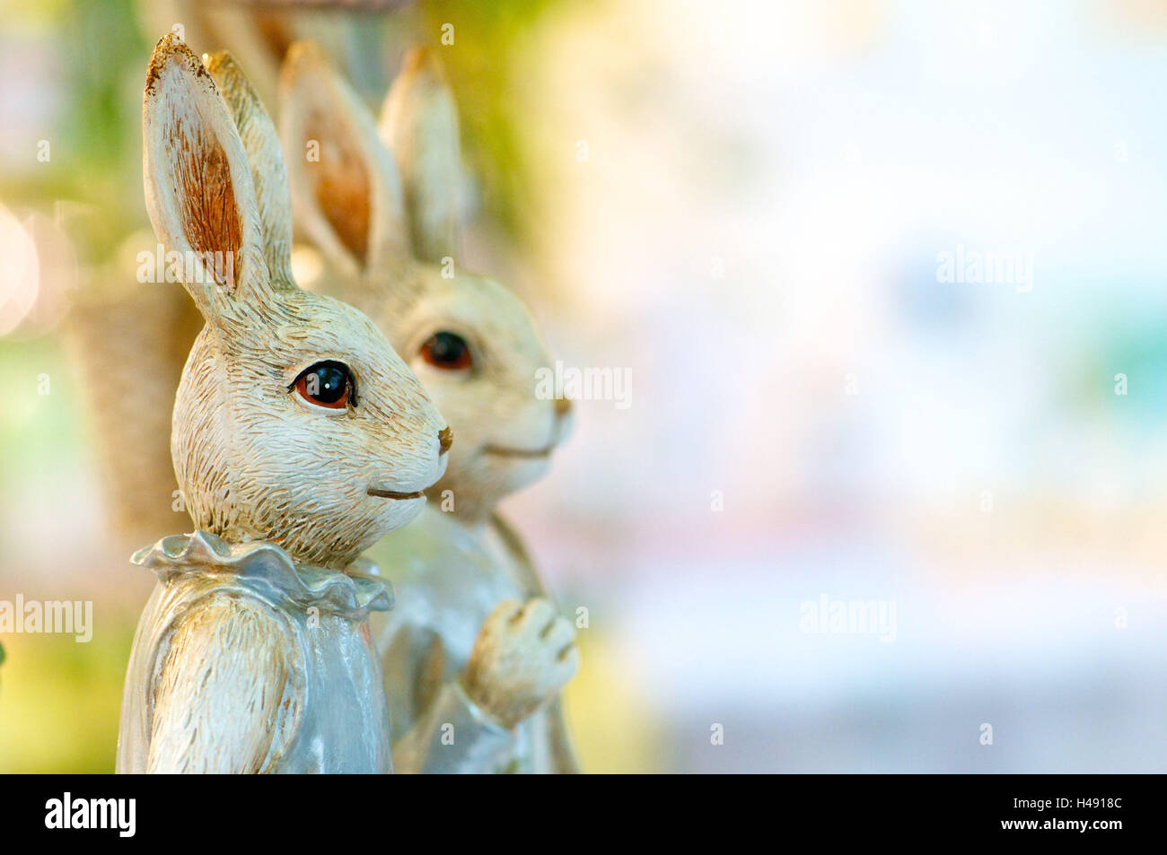 Bunnies hi-res stock photography and images - Alamy