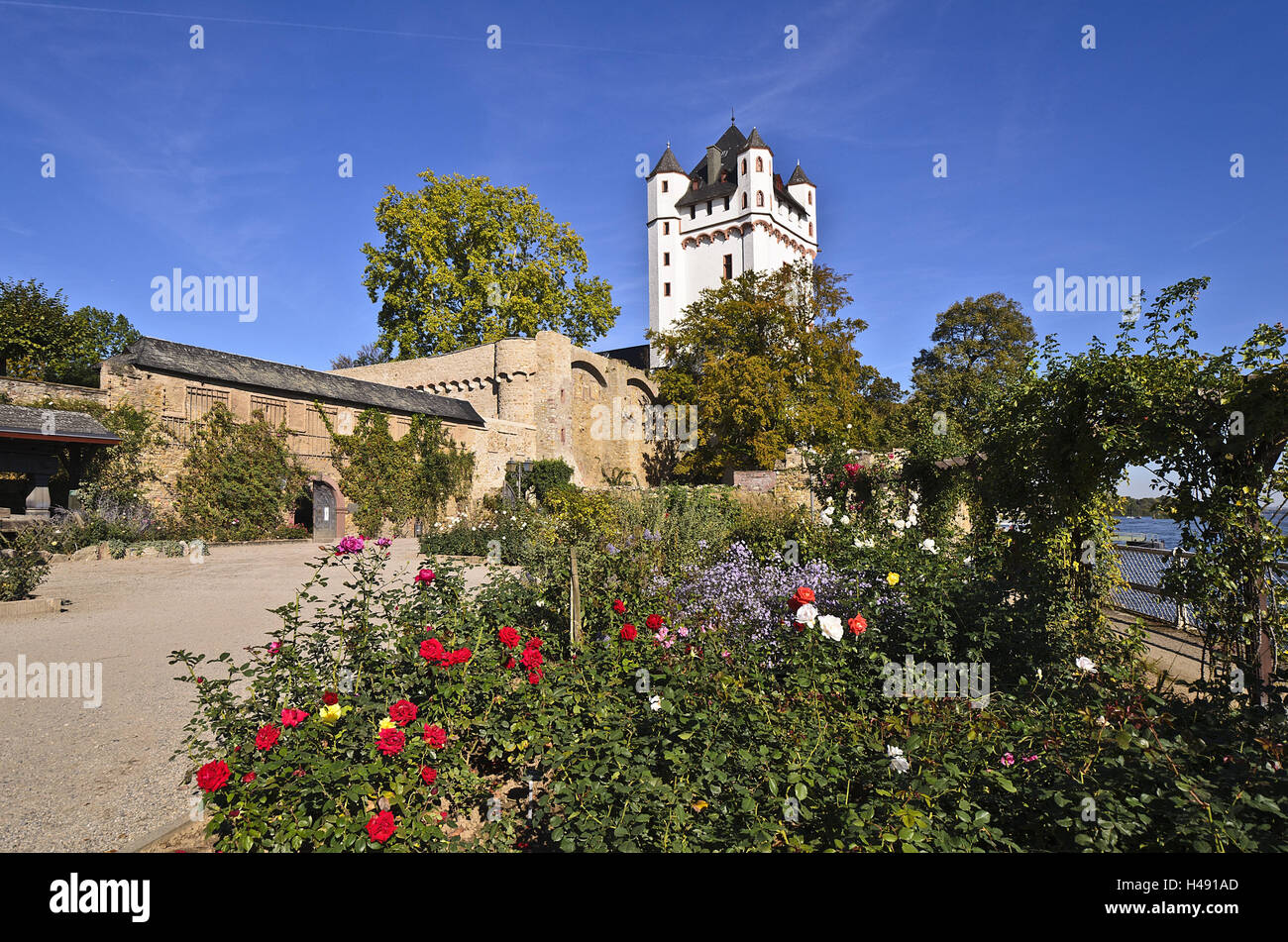 Eltville am rhein village hi-res stock photography and images - Alamy