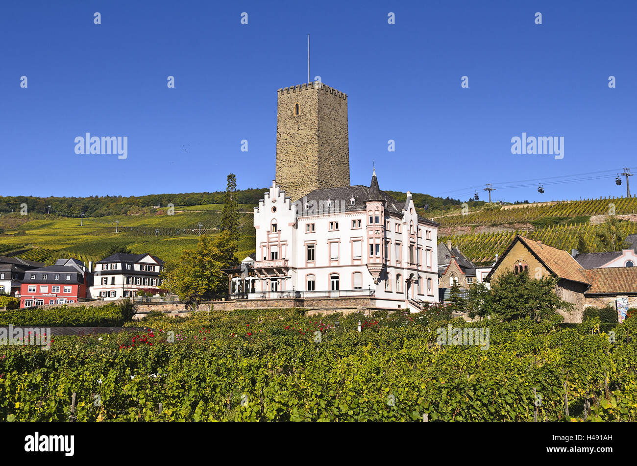Germany, Hesse, Rheingau (region), Rüdesheim am Rhein (town ...