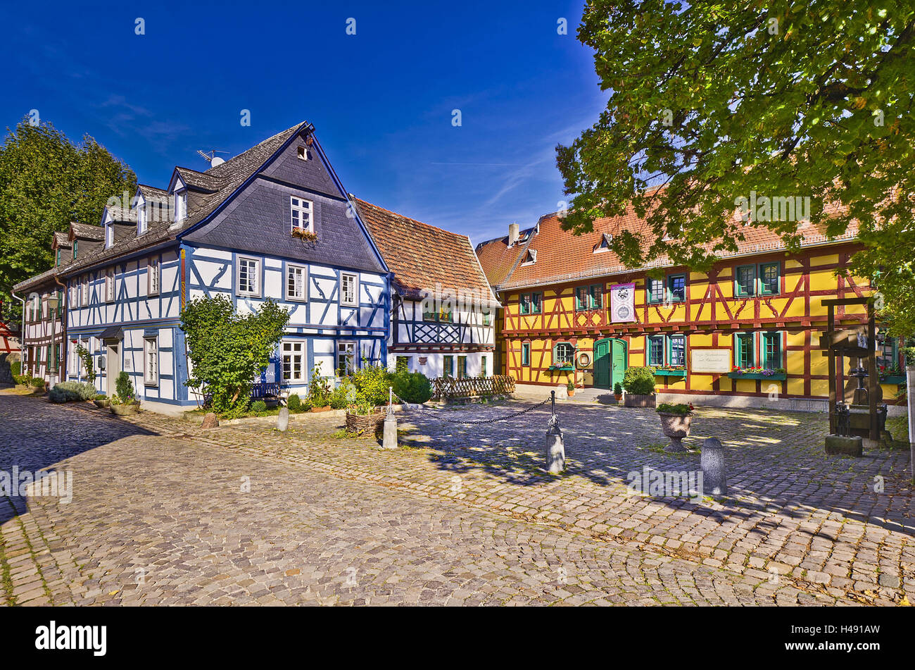 Germany, Hesse, Rheingau (region), Eltville am Rhein (village ...