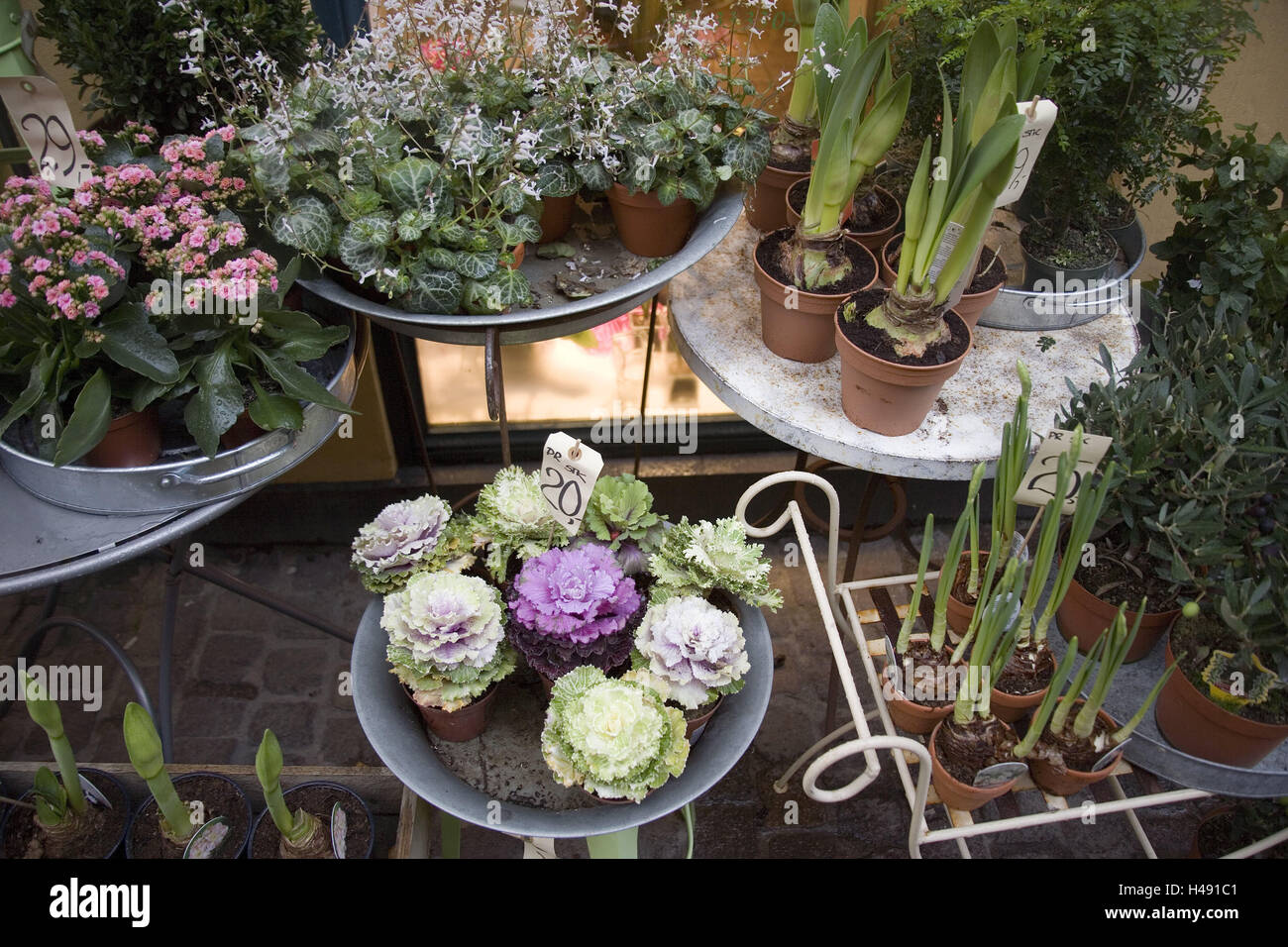 Flower shop, flower stairs, potted plants Stock Photo - Alamy