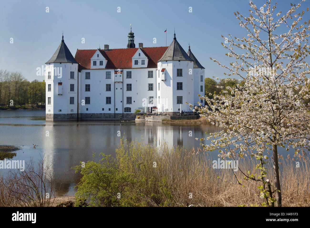 Germany, Schleswig - Holstein, moated castle Glücksburg (castle Stock ...