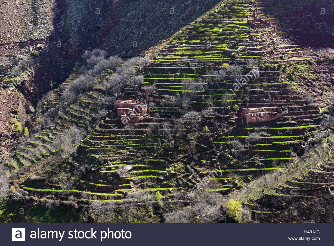 Terrace Farming Africa Stock Photos & Terrace Farming Africa Stock ...