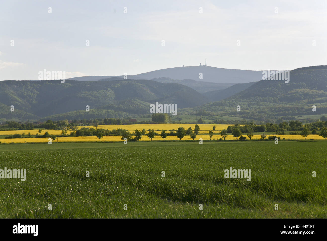Germany, Saxony-Anhalt, resin, field scenery, lump Stock Photo - Alamy