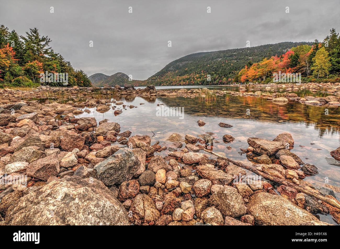 Autumn foliage reflecting in waters in Acadia National Park Stock Photo ...