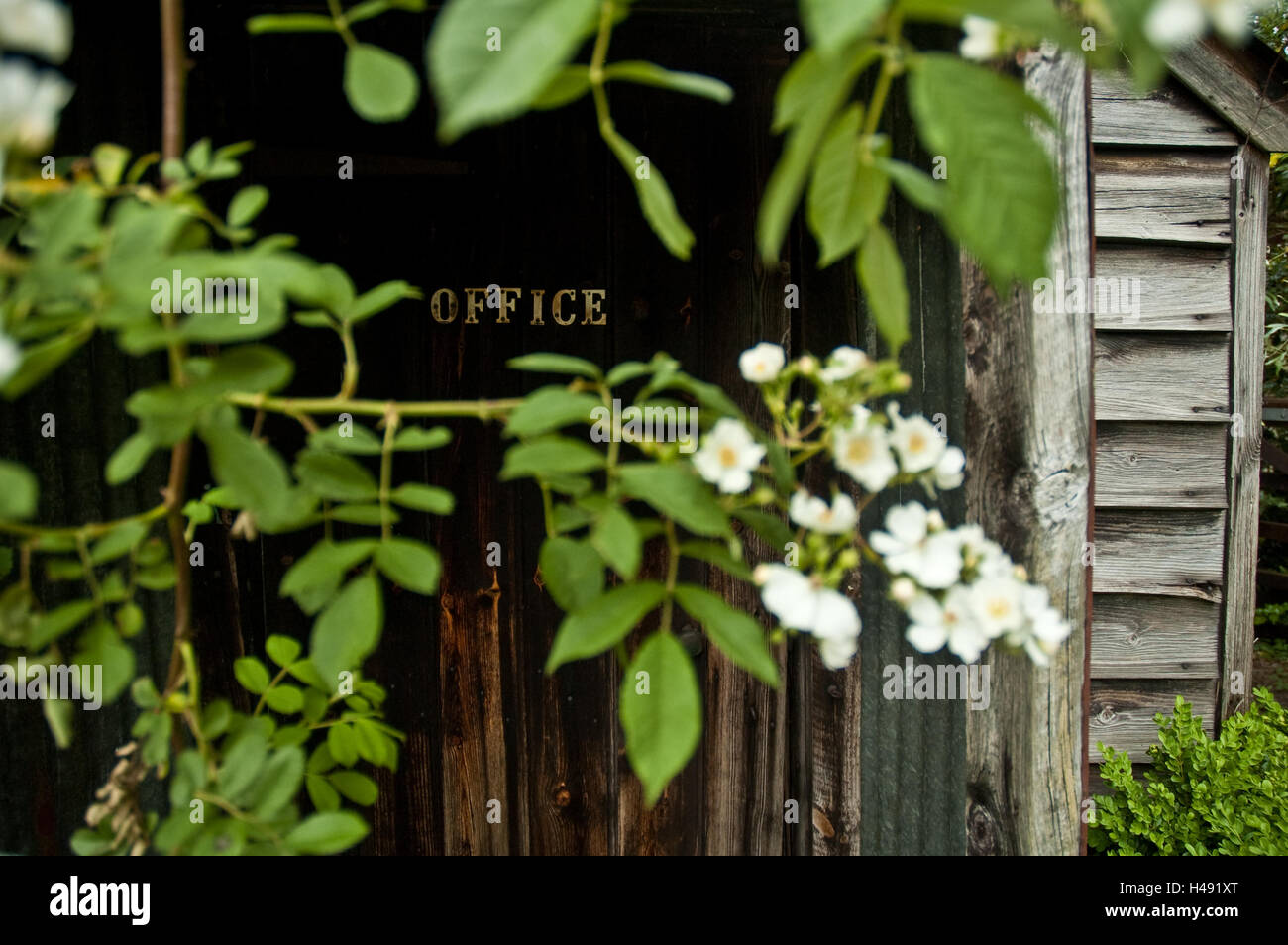 Wooden door with office sign. Berkshire, Englang. 2005 Stock Photo - Alamy