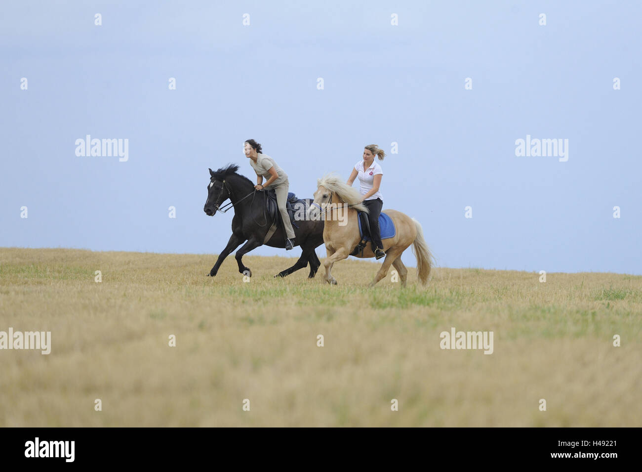Riders, horses, field, at the side, ride Stock Photo - Alamy