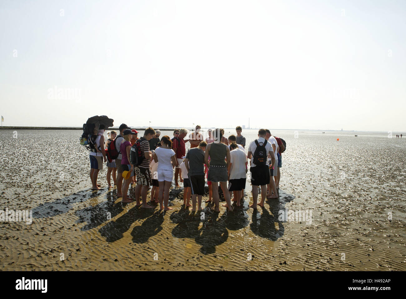 Germany, Butjadingen, the North Sea, watt, tourist, mudflat hiking tour ...