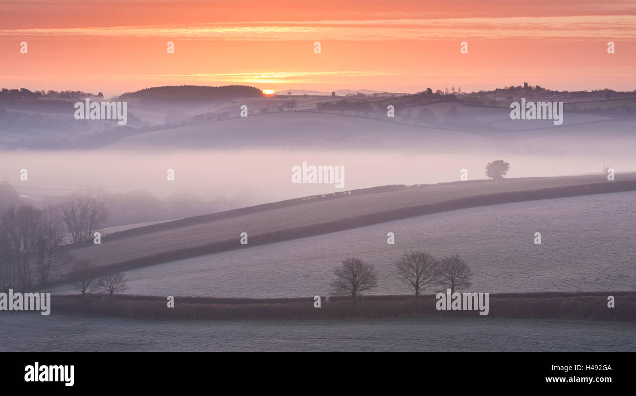 Frost and mist covered winter countryside, Morchard Bishop, Devon ...