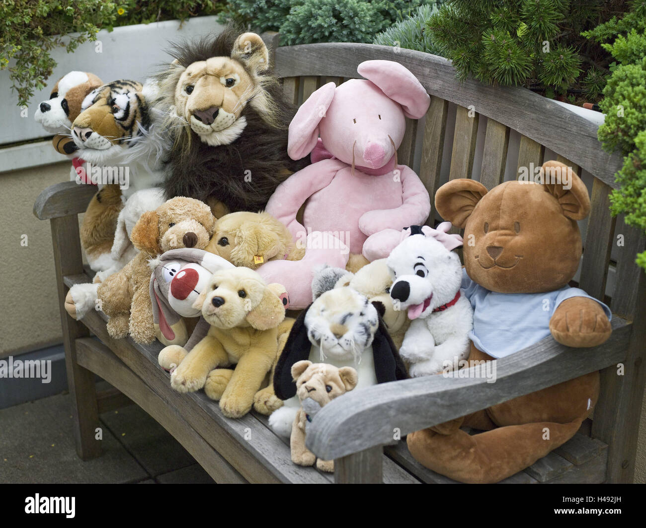 Soft toys, wooden bank, terrace, soft animals, child friends, toys ...