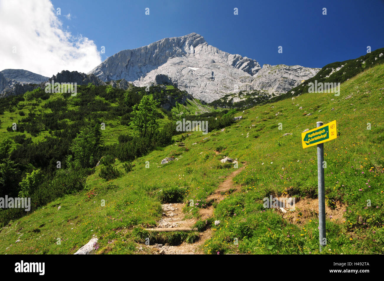 Germany, Bavaria, Garmisch-Partenkirchen, Alpspitze, meadow, mountain ...