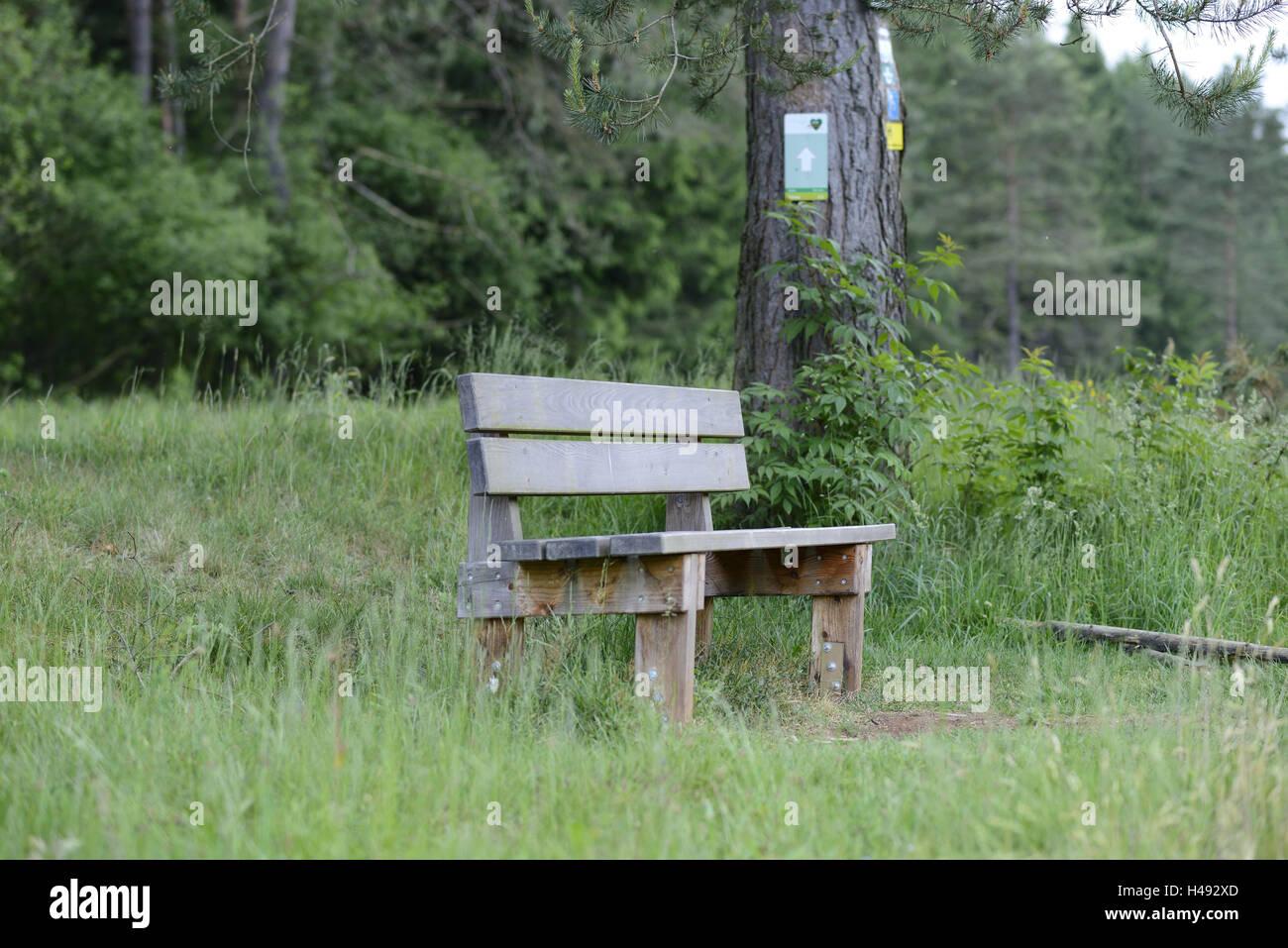 Park-bench, scenery, Upper Palatinate, Bavaria, Germany, Europe Stock ...