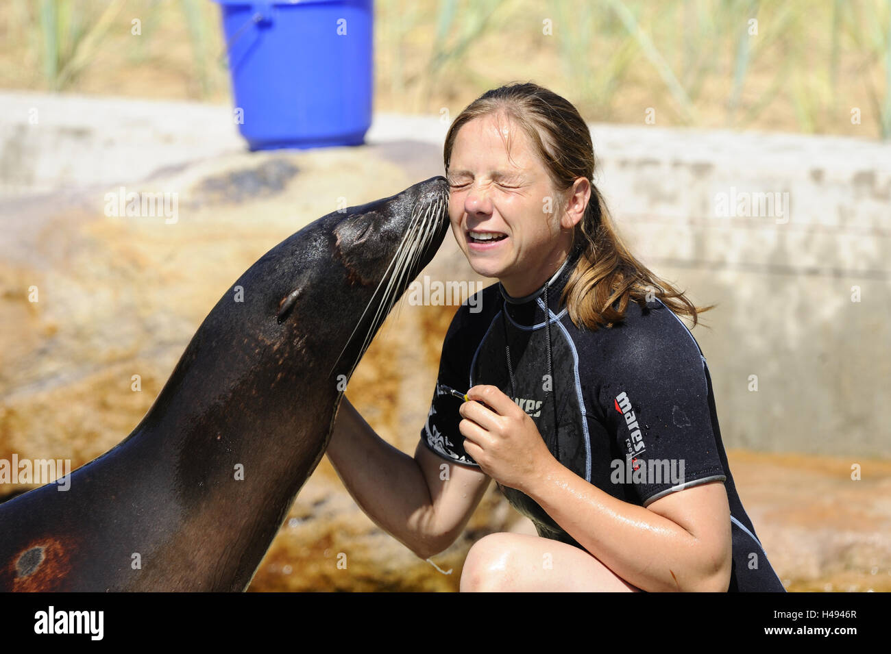 Sea lion zoo trainer hi-res stock photography and images - Alamy