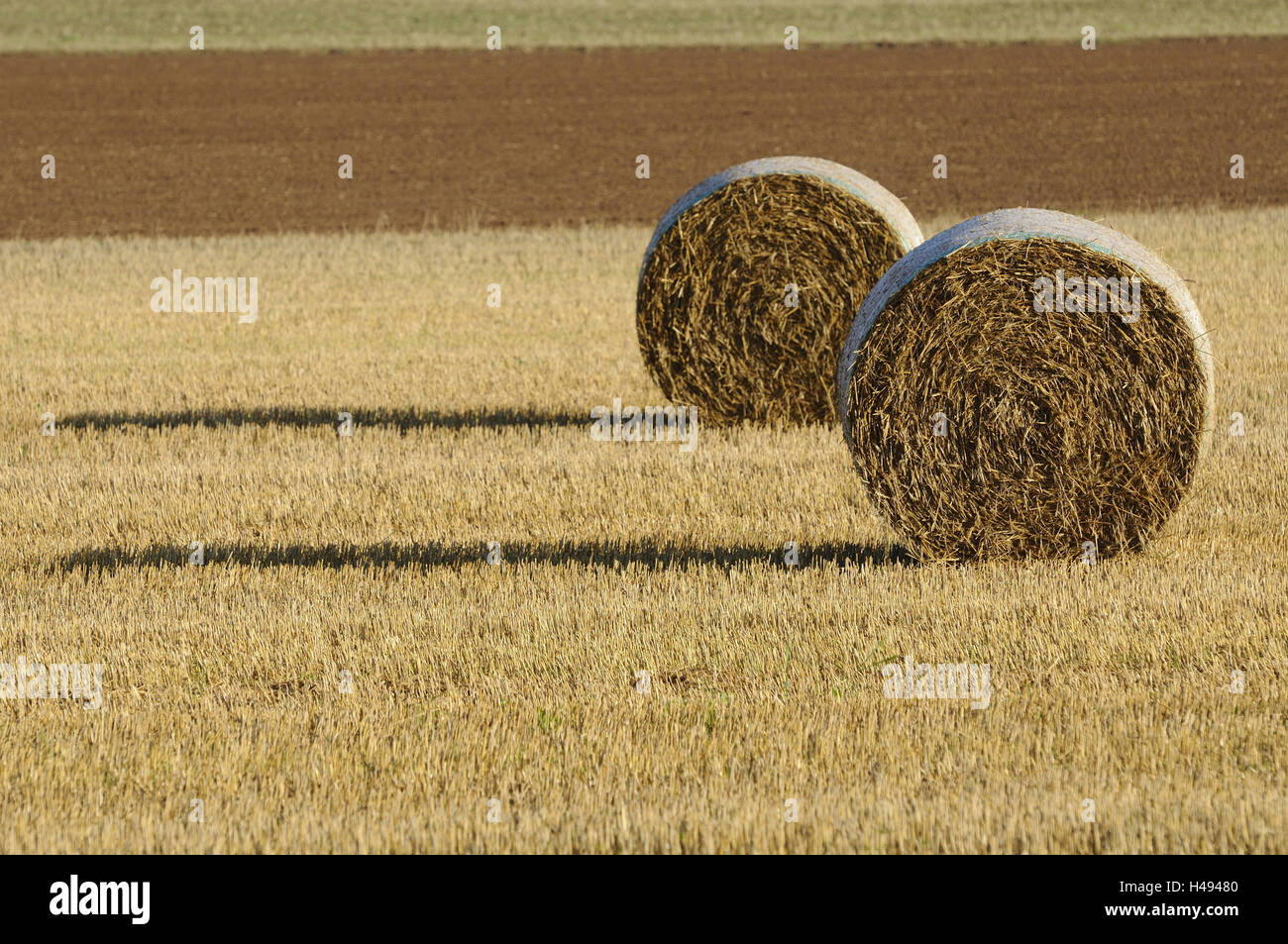 Scenery, grain-field, Germany Stock Photo - Alamy