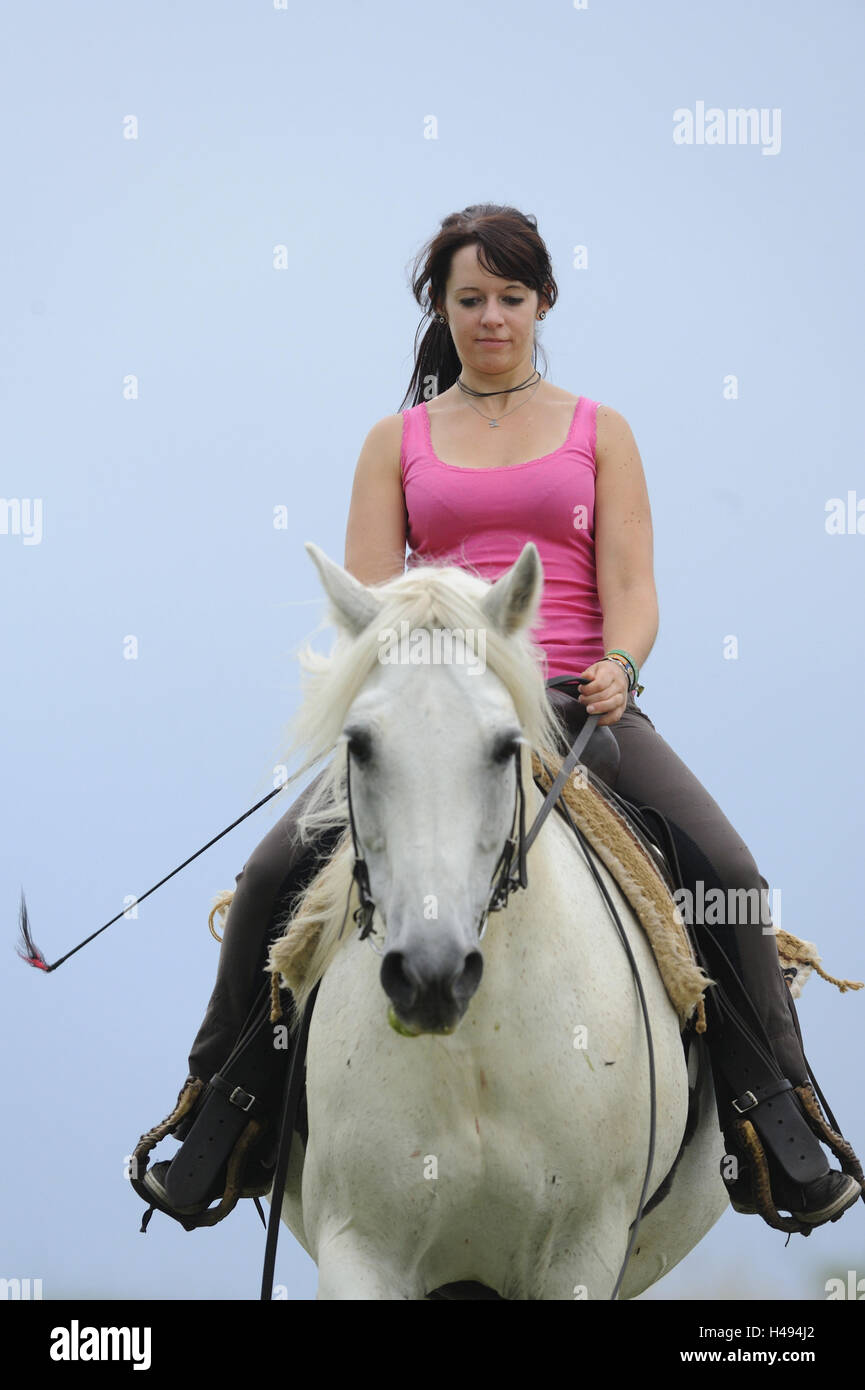 Rider on haflinger horse riding hi-res stock photography and images - Alamy