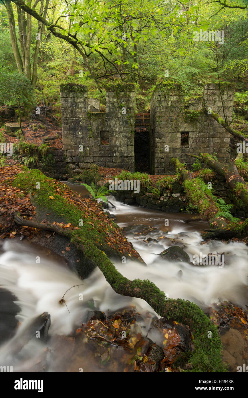 Abandoned 19th Century gunpowder works at Kennall Vale, now a wooded ...