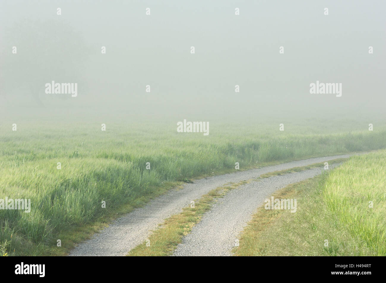Fog lane hi-res stock photography and images - Alamy
