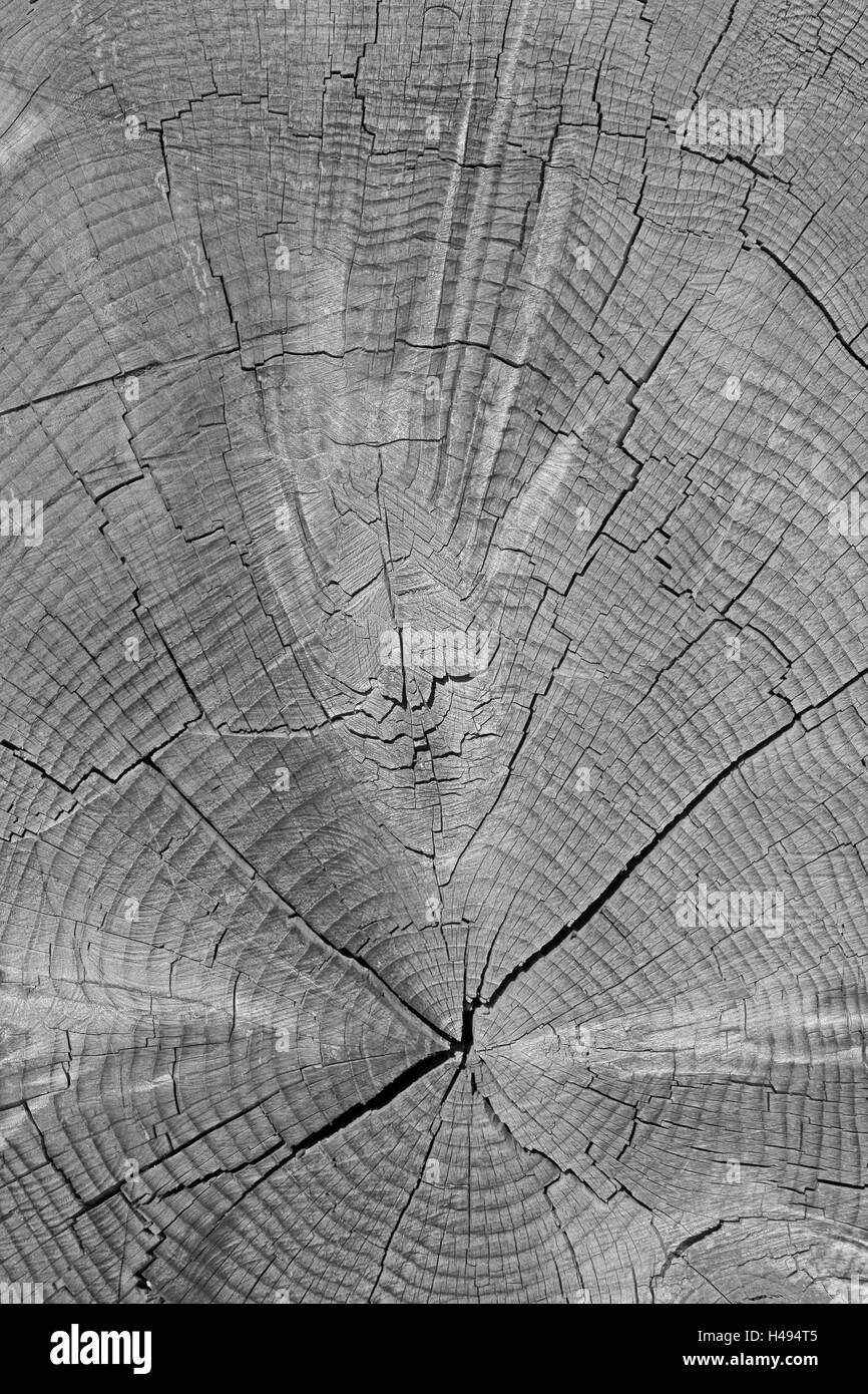 Cross section window hi-res stock photography and images - Alamy