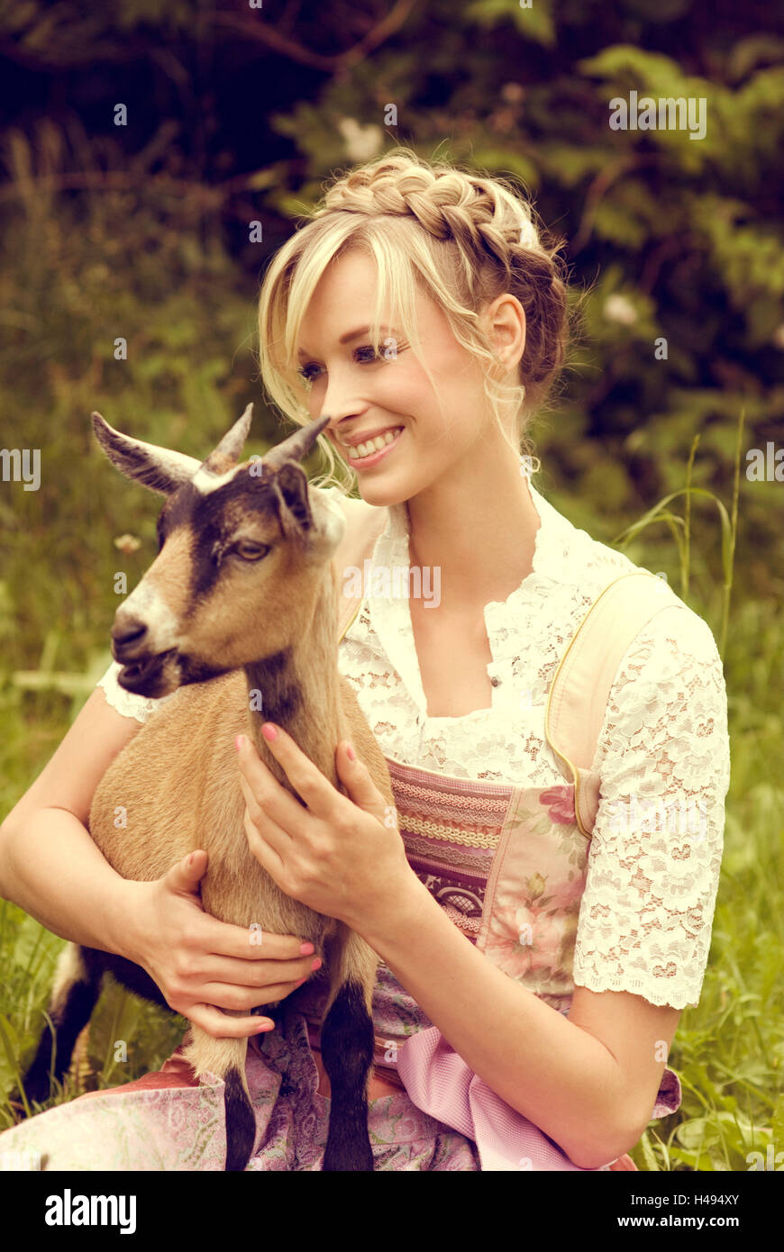 Goat of arms hi-res stock photography and images - Alamy