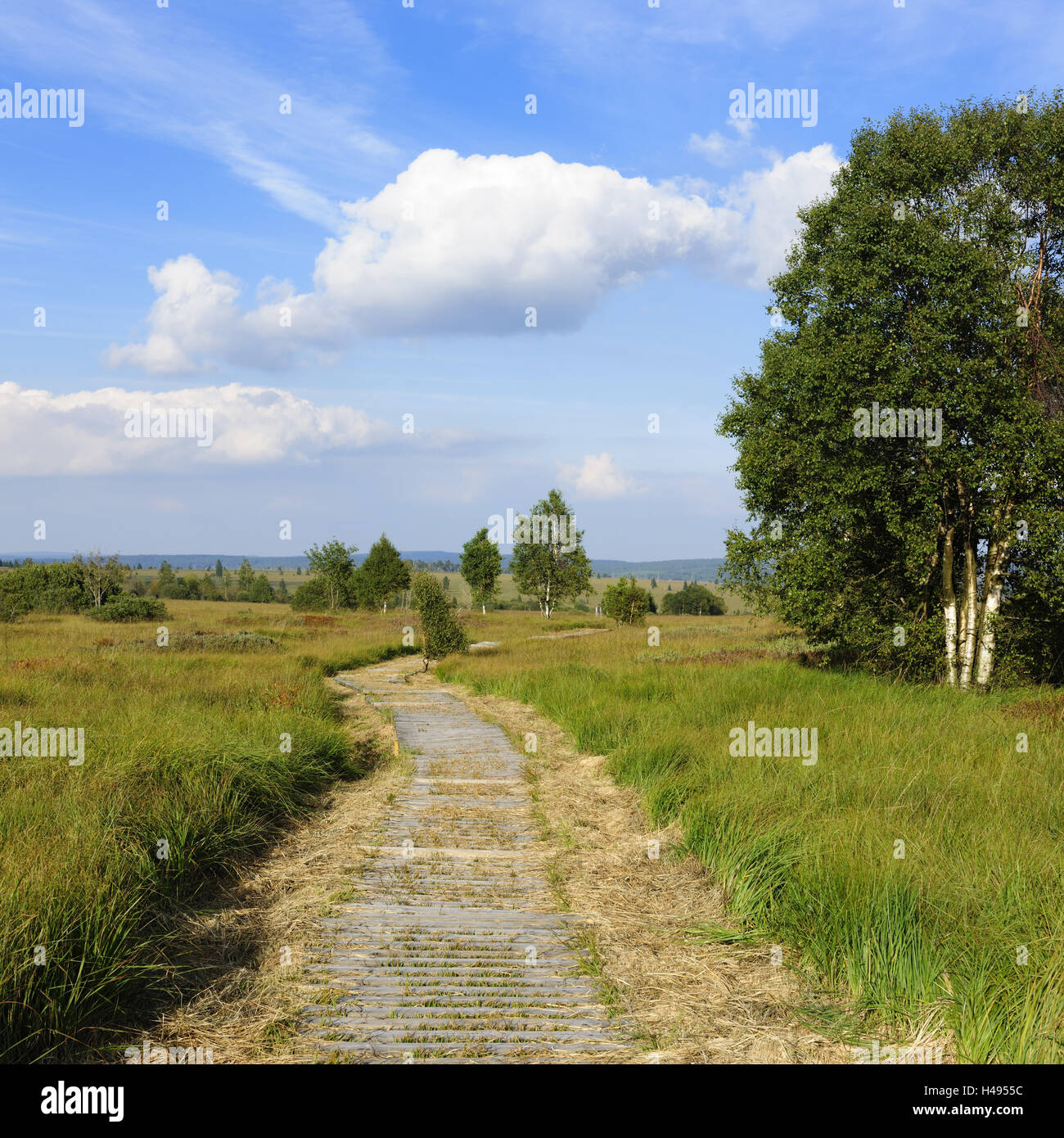 Belgium nature landscape hi-res stock photography and images - Alamy