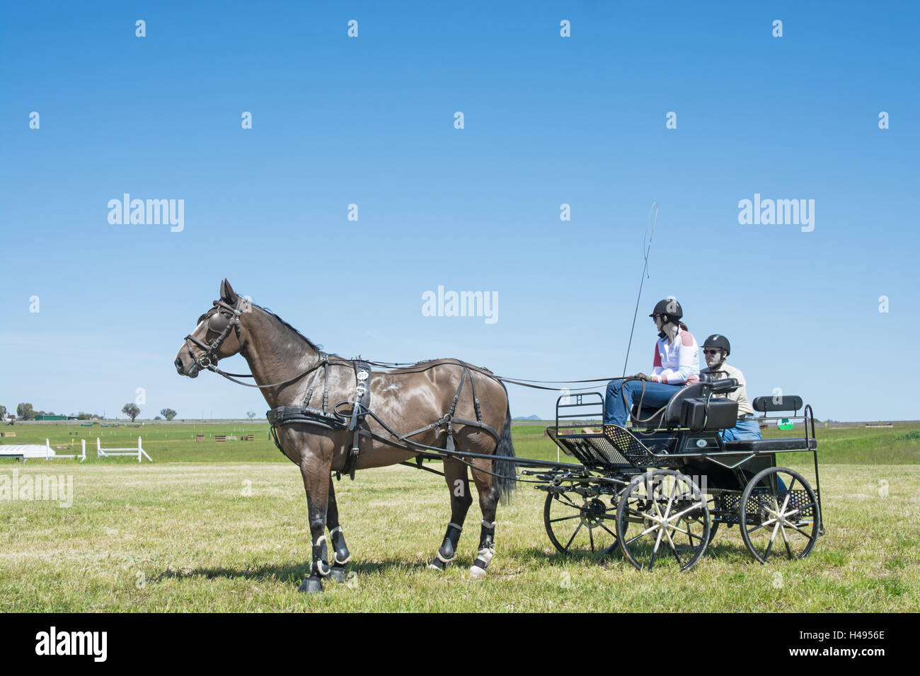 Marathon Carriage High Resolution Stock Photography and Images - Alamy