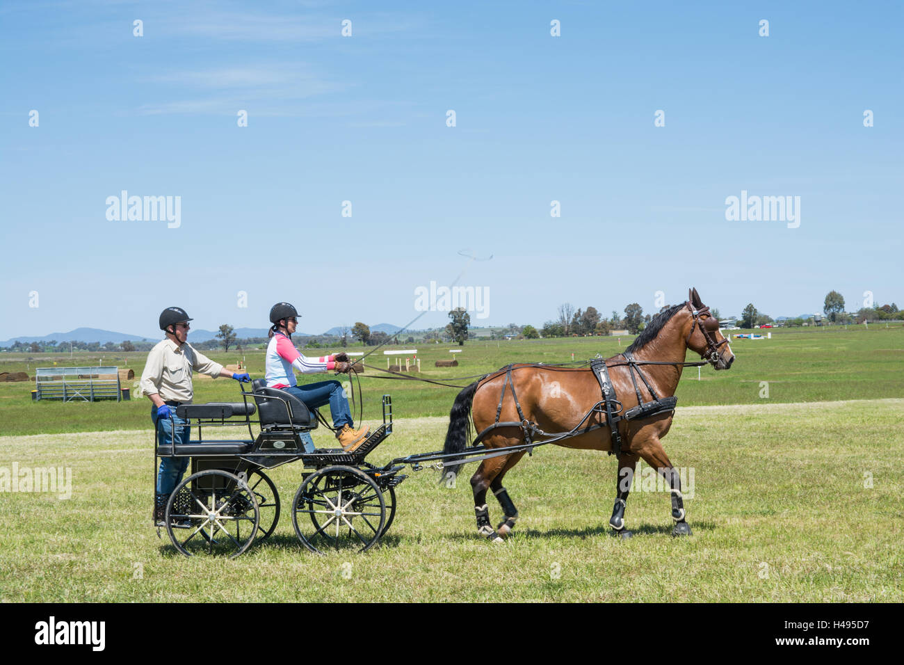 Practice run for Horse and Carriage Marathon Event Stock Photo - Alamy
