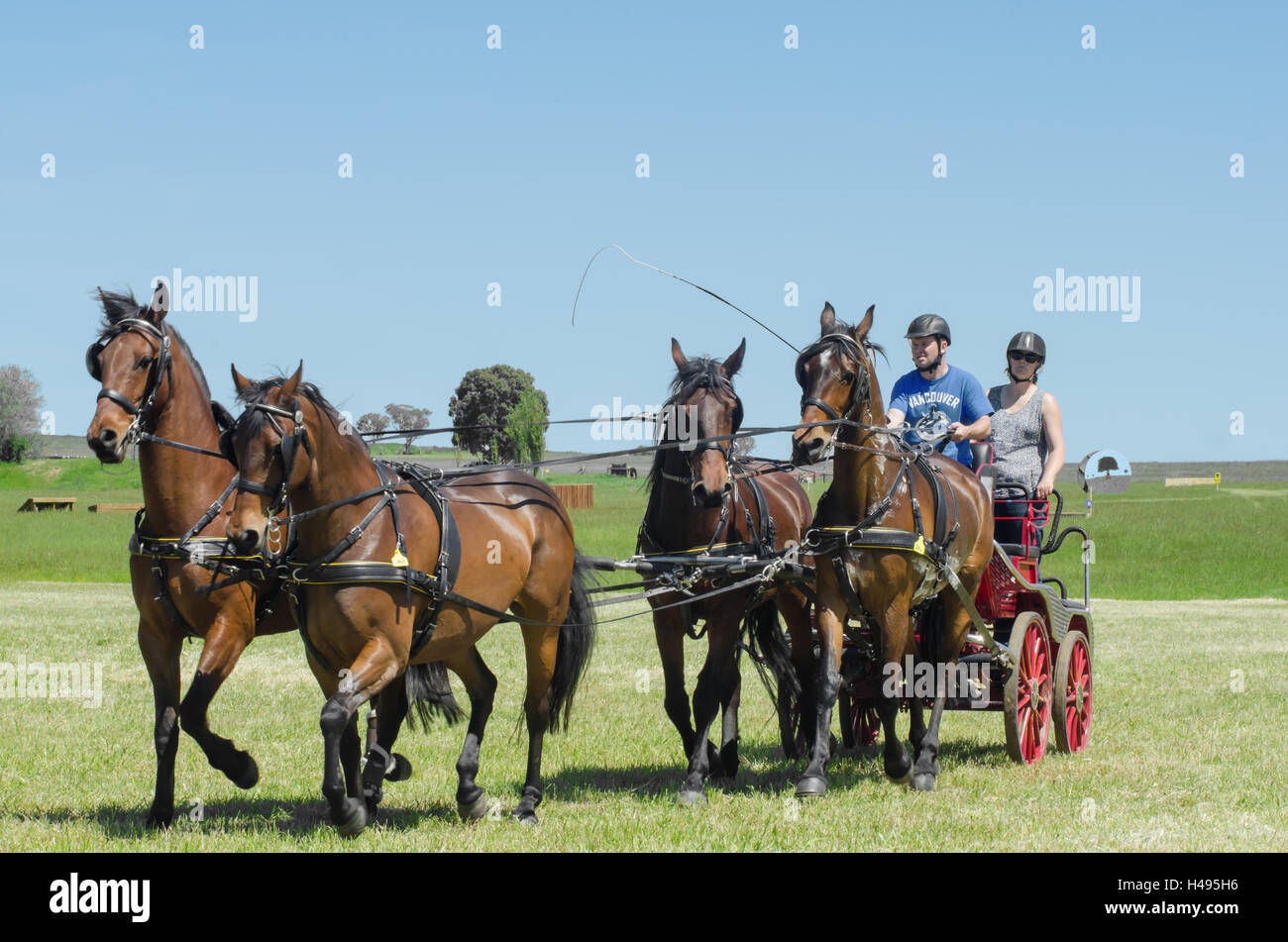 Australia australian carriage hi-res stock photography and images - Alamy