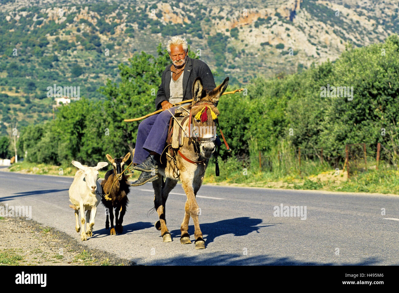 Greece, Crete, with Kritsa, man on donkey with goats Stock Photo - Alamy
