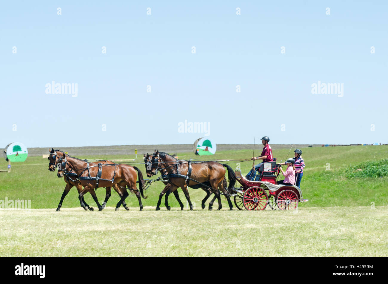Practice run for Horse and Carriage Marathon Event Stock Photo - Alamy