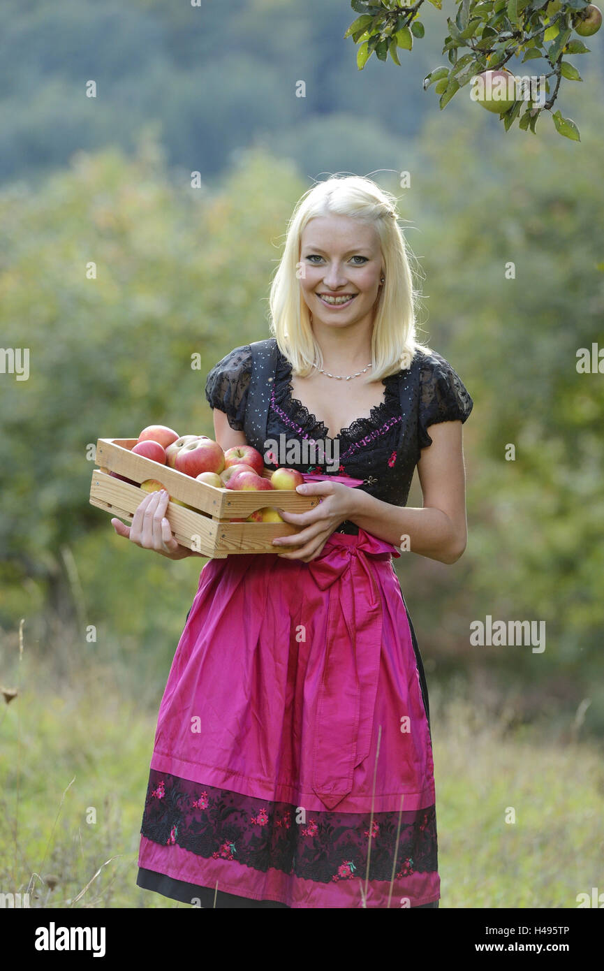 Young woman, dirndl, apple harvest, meadow, head-on, stand, view camera ...