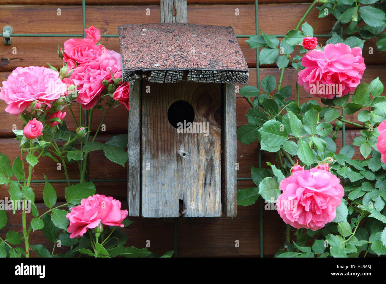 Nesting box, roses, wooden nesting box, wooden nesting box, season ...