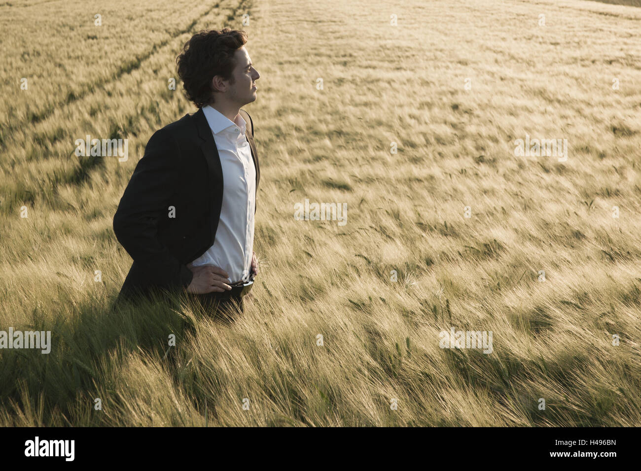 Young man stands in grain field hi-res stock photography and images - Alamy