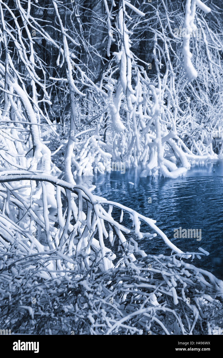 Iced shrub hi-res stock photography and images - Alamy